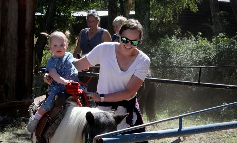 Turner Apple Farm kicks off fall with Applefest | | chaffeecountytimes.com