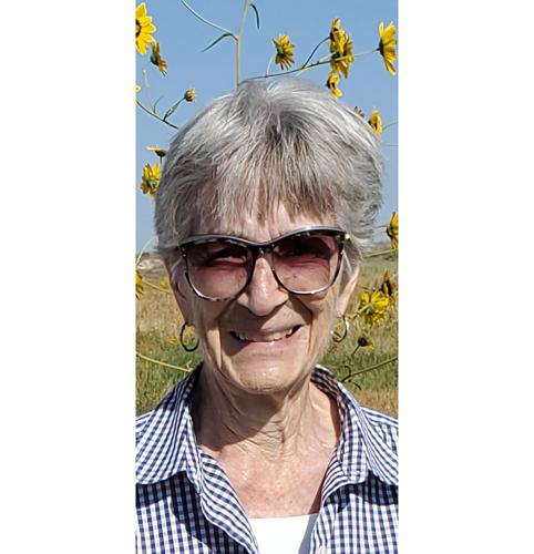 Virginia Lee Ireland | Obituaries | chaffeecountytimes.com