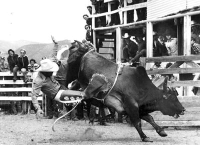 BV rodeos have thrilled fans for a century | Free Content ...