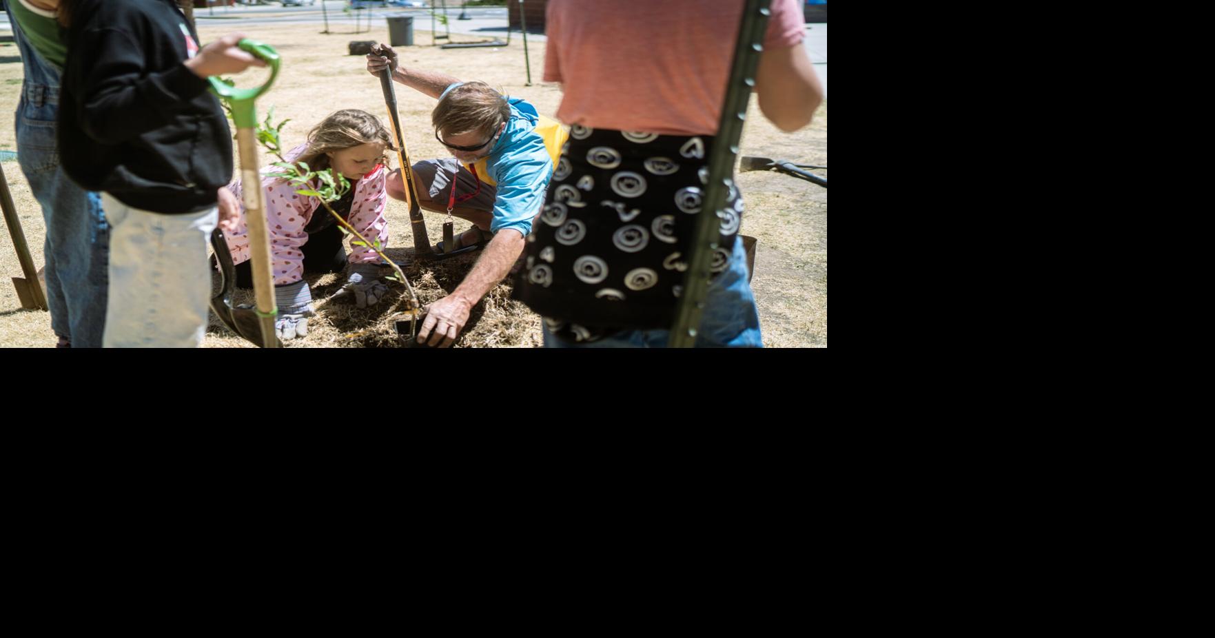 Avery-Parsons kids plant rare apple trees for Earth Day | News ...