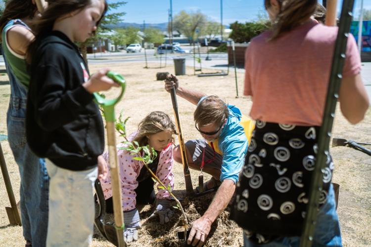 Avery-Parsons kids plant rare apple trees for Earth Day | News ...