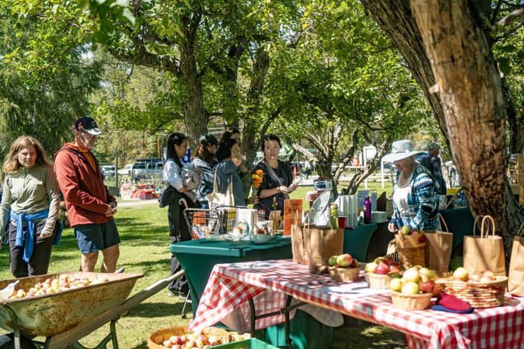 Applefest pie contest names winners | News | chaffeecountytimes.com