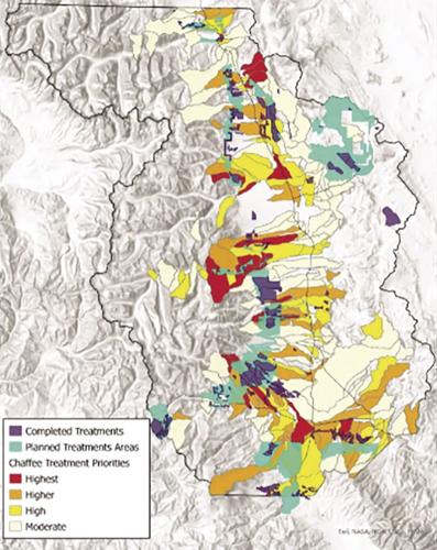Tree thinning is the ‘status quo’: Forest Health Council to spend $65 ...