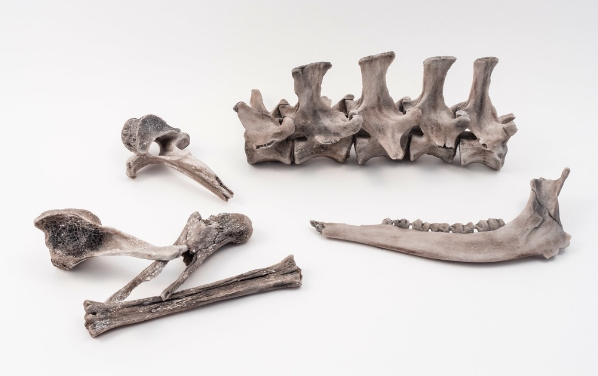 BV glass artist to feature in UK museum | News | chaffeecountytimes.com