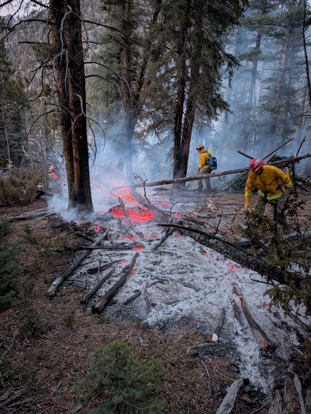 'Waverly Gulch' fire near Clear Creek 100 percent contained | News ...