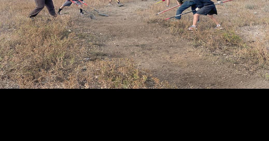 Volunteers begin building walking trail at Buena Vista Dog Park | Free ...