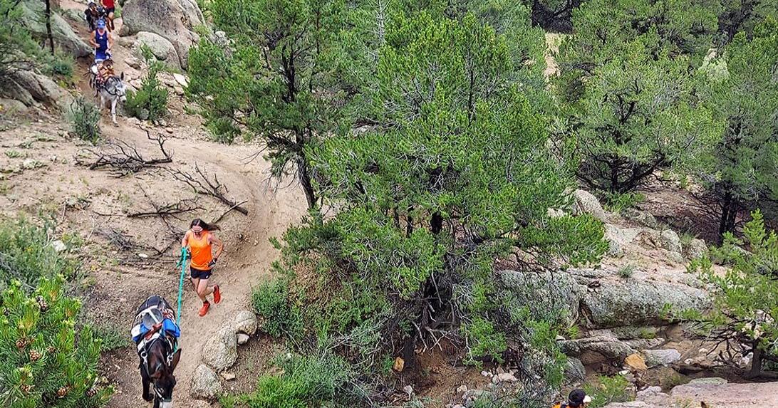 Bears, lions and crepuscular creeps: How to be safe on the trails ...