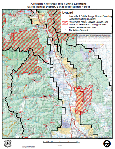 USFS announces Christmas tree permit availability for 2023 holiday ...