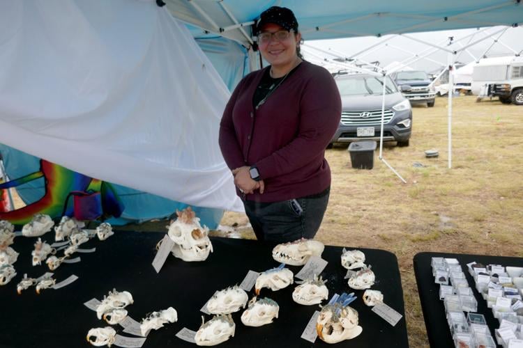 Gem, mineral and fossil show rocks Buena Vista | News ...