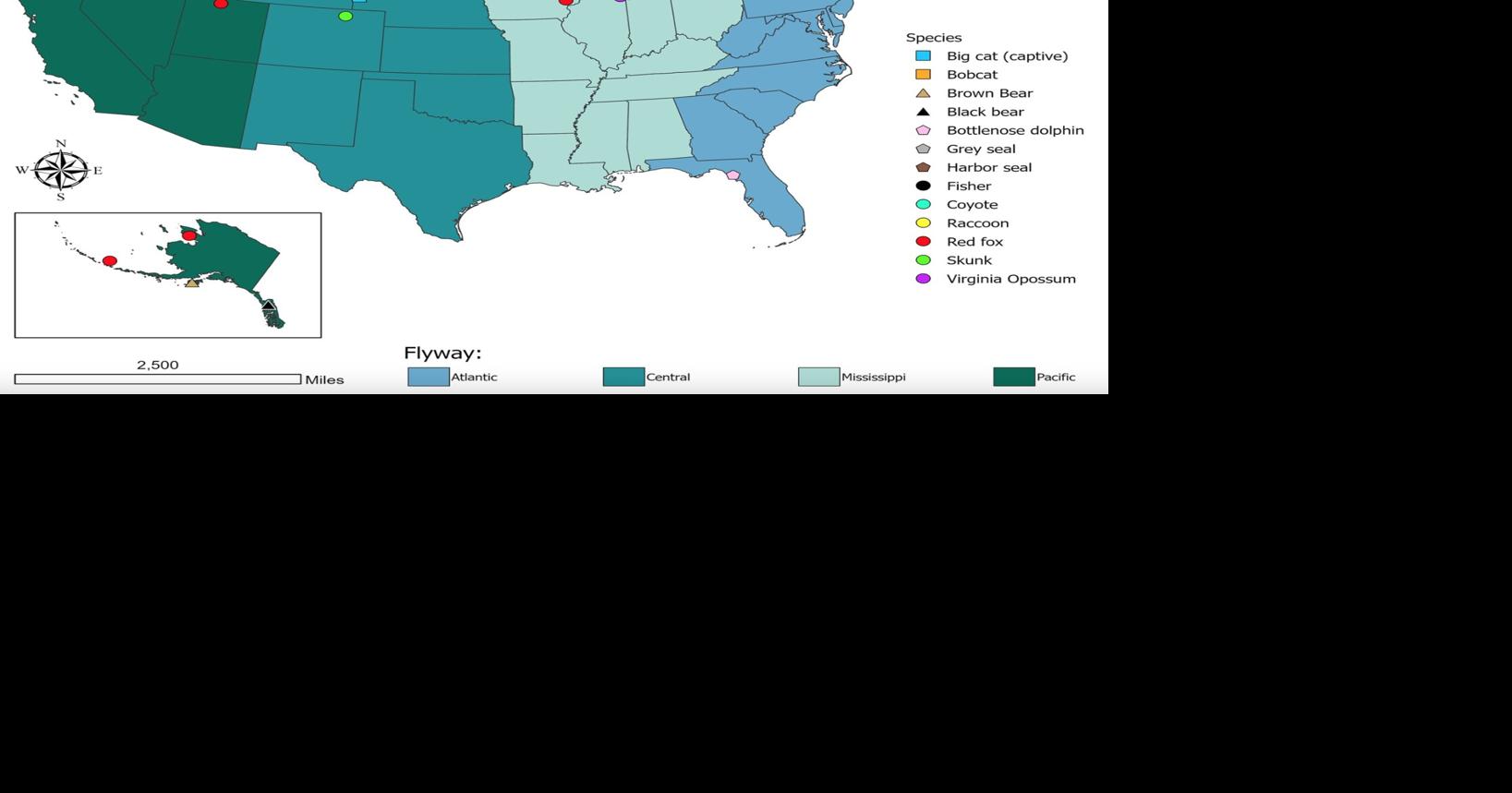 Highly Pathogenic Avian Influenza linked to deaths of black bear and ...