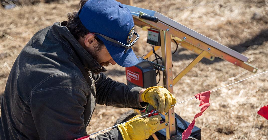 CPW, CDA to host non-lethal wolf conflict reduction event | News ...