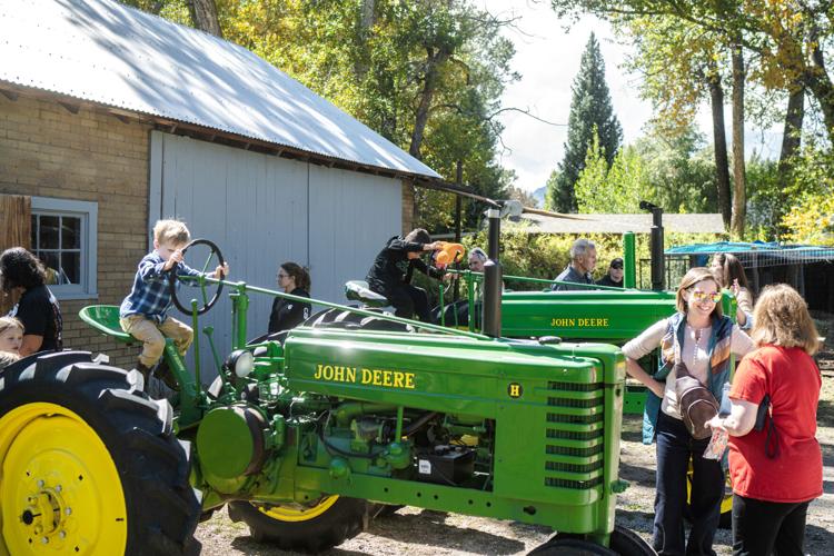 Applefest pie contest names winners | News | chaffeecountytimes.com