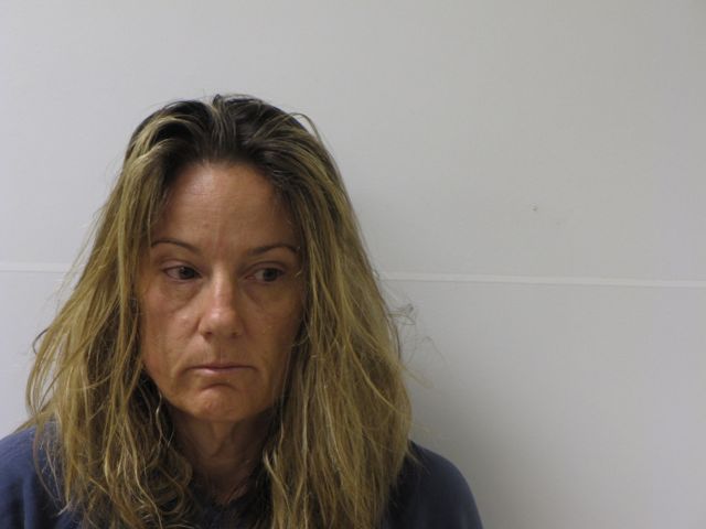 Two arrested so far in BV meth bust | News | chaffeecountytimes.com