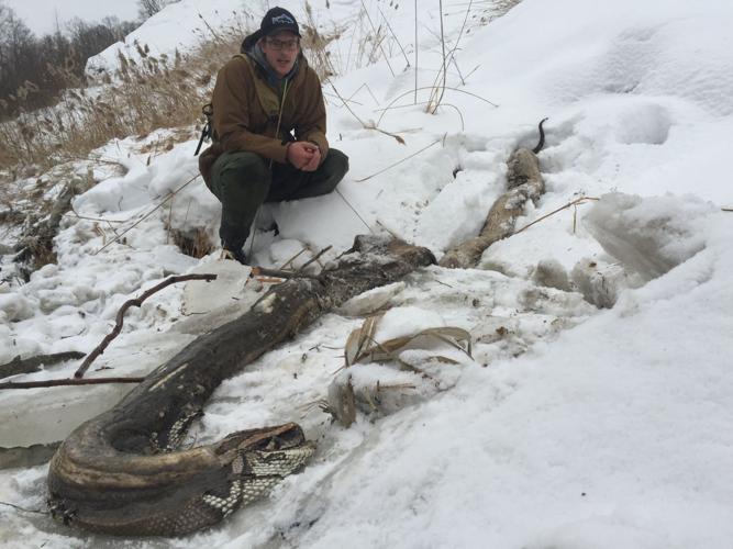 Fishermen find 16-foot Burmese python on Chagrin River | Chagrin Falls ...