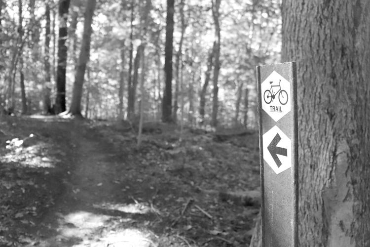 Autumn is perfect time to check out Park District’s mountain bike trail ...