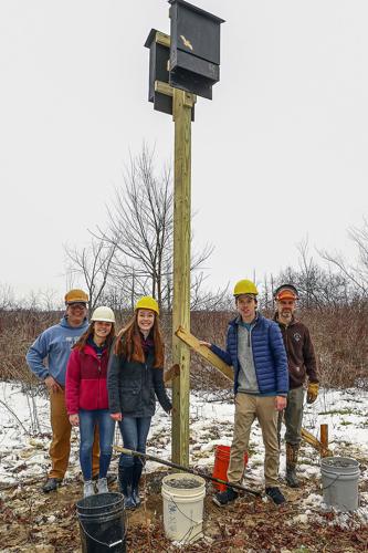 Building for bats | Chardon | chagrinvalleytoday.com