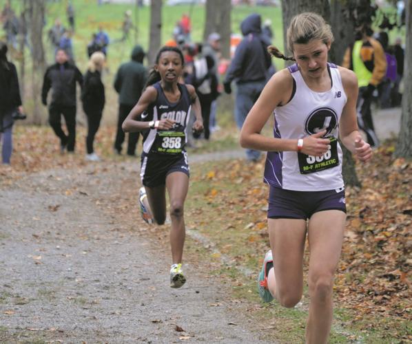 Lady Comets send three runners to states | Solon | chagrinvalleytoday.com
