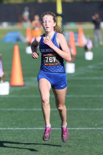 All-Ohioans Weybrecht, Barton motor Lady Lancers at states | Sports ...