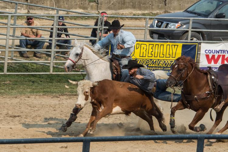 Crowds flocks to fair: Thousands enjoy flying chickens, rodeo and food ...