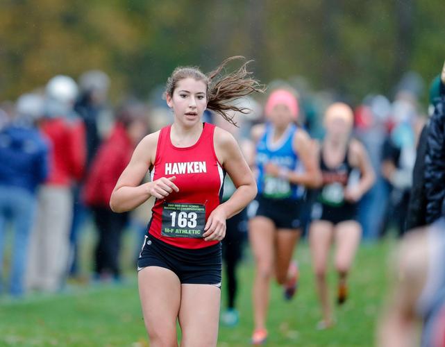 Lady Hawks fifth; Gilson, Metz all-Ohioans | Hawken ...
