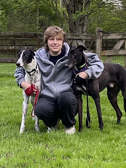 Gold Award project helps Greyhounds find Ohio homes | Local Government ...