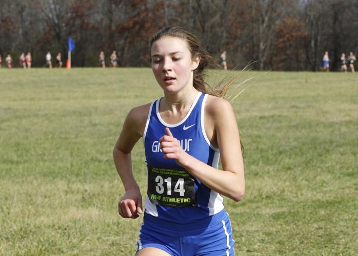 Lady Lancer runners third in DII state debut - Gilmour boys cross ...