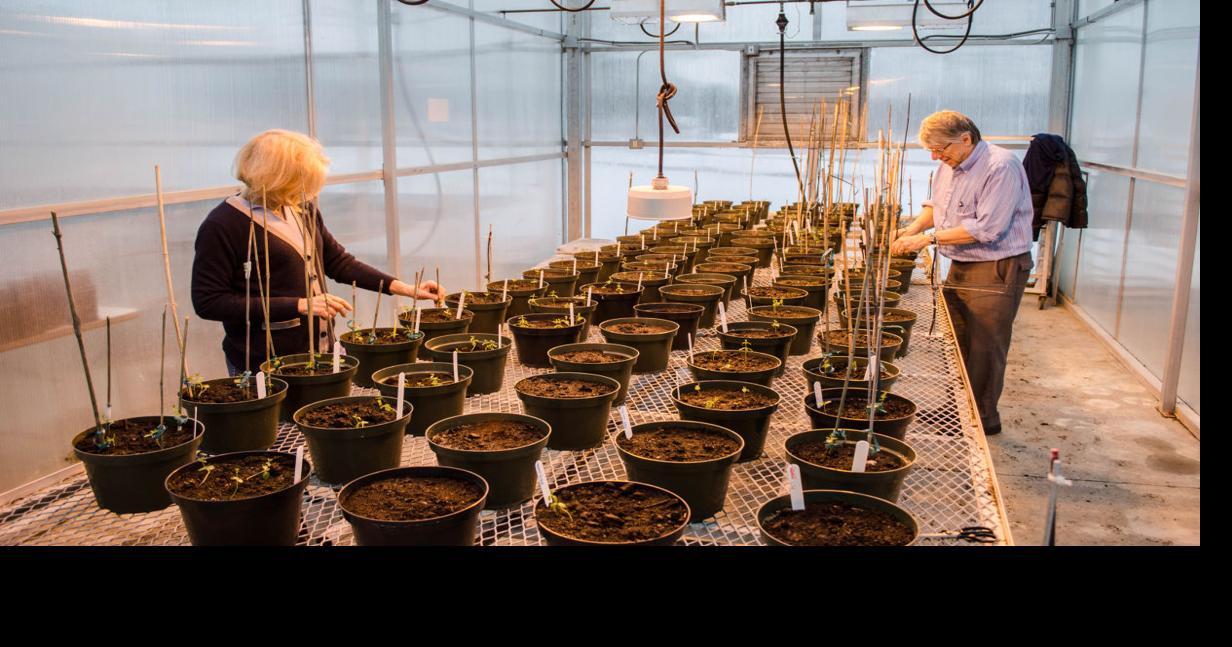 Hidden gem: CWRU farm is living classroom for students | Hunting Valley ...