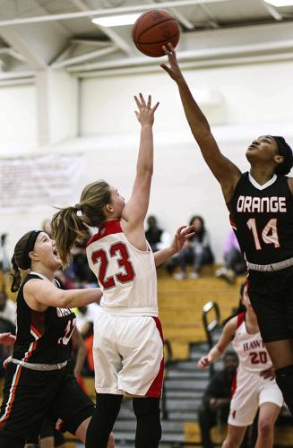 Lady Lion cagers stump Hawks, move to 5-2 | Hawken | chagrinvalleytoday.com