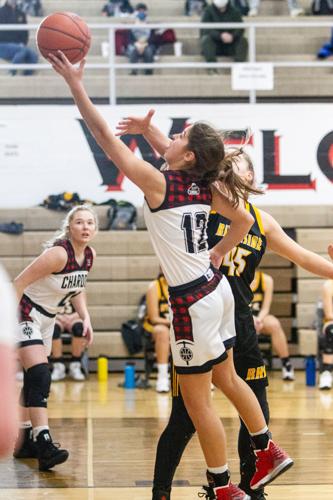 Lady Hilltoppers rounding into form in victory over Beavers | Sports ...