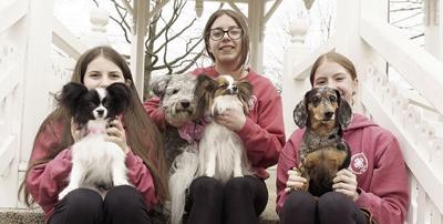 Walking the dogs | Chardon | chagrinvalleytoday.com