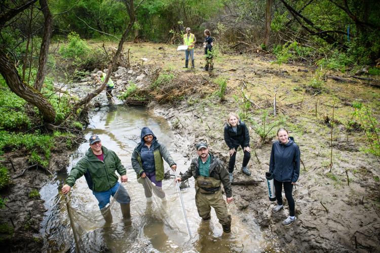 Griswold Creek project to reduce erosion and enhance natural habitat ...