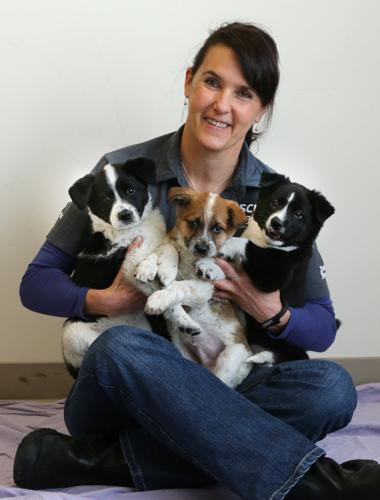 Week in Photos - 9/4/2014 | Featured | chagrinvalleytoday.com