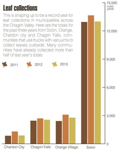 Seasonal: Mother Nature piles on leaves as communities gear up for ...