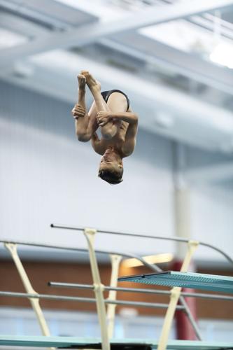 Solon’s Roberto captures three medals at diving nationals | Solon ...