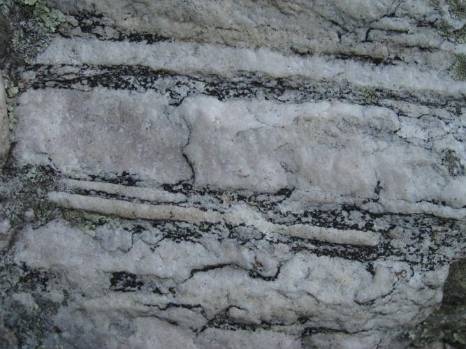 Fossils unlock mysteries to Earth’s past | Solon | chagrinvalleytoday.com