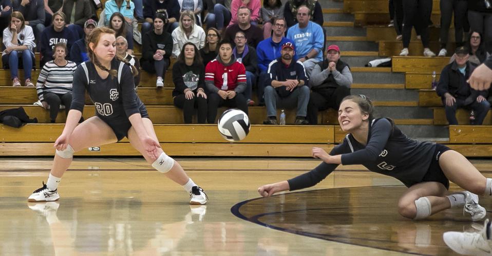 Lady Comets defend district title against Nordonia, 3-2 | Solon ...