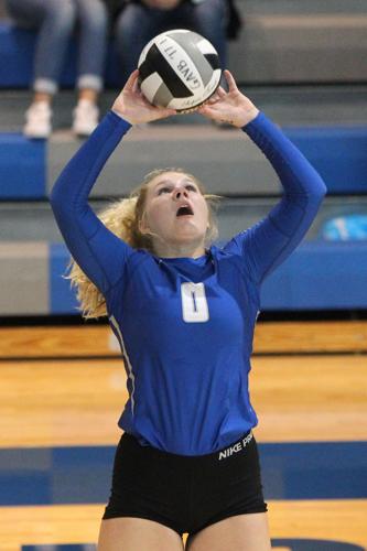 Gilmour defeats DI state champ Brecksville - Lady Lancer spikers ...