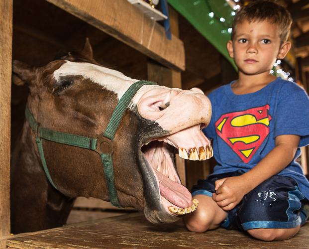 Week in Photos - 9/4/2014 | Featured | chagrinvalleytoday.com