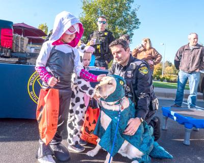 K-9 therapy dog provides outreach | Solon | chagrinvalleytoday.com