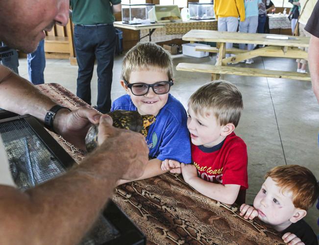 Reptile Day at Katydid | | chagrinvalleytoday.com
