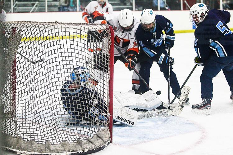 Lions claw Bengals with four power-play goals | Orange ...