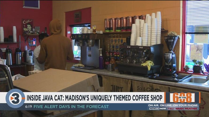 In the 608: Java Cat takes unique approach for coffee shop ...