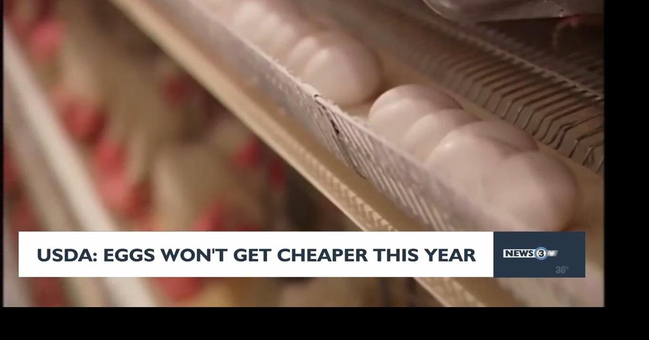 Egg prices, shortages not cracking in 2025, officials say ...