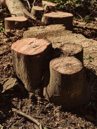 Meet the Los Angeles Fire Department crew tasked with protecting ...