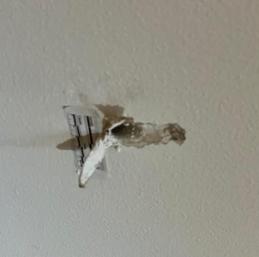 ‘The guys with guns are just getting braver’: Woman wakes up to bullet ...