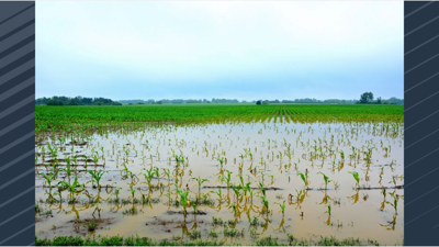 DNR encourages private well owners to test drinking water amid heavy ...