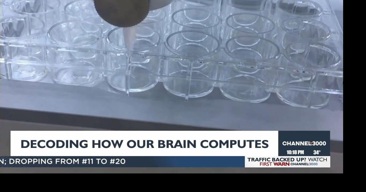'Decode how the brain computes': How UW researchers 3-D printed living ...