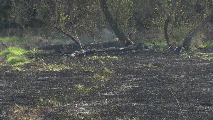 Brush fire in town of Primrose knocked down after burning 30 acres ...