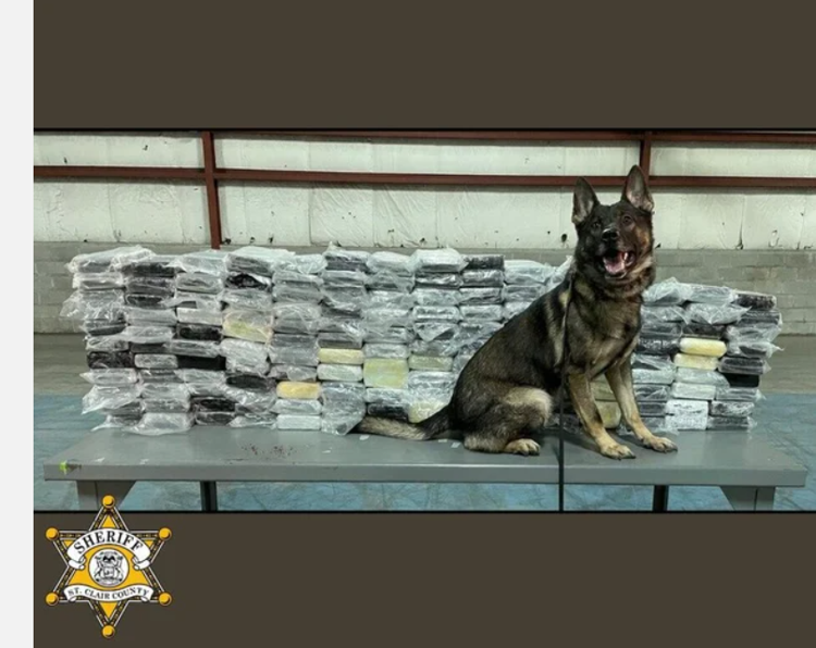 Drug-sniffing dog helps intercept nearly 400-pound cocaine haul in ...