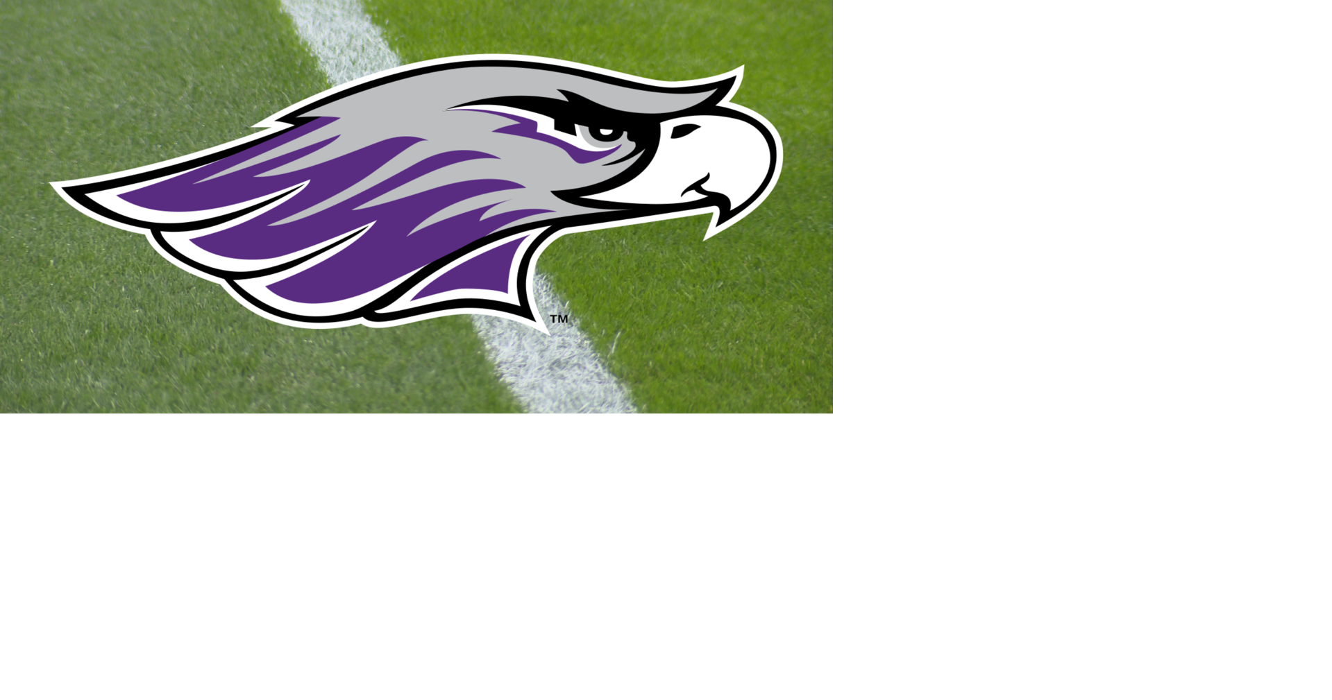warhawk baseball logo